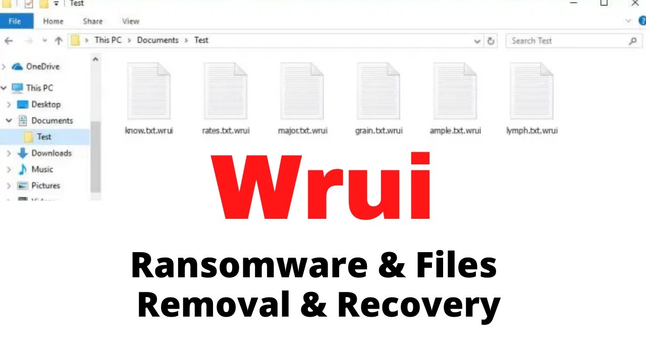 How to Remove .Wrui Ransomware and Restore || Wrui Files - YouTube