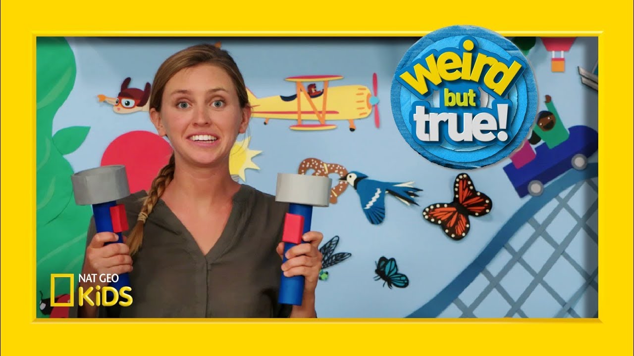 Behind the Scenes: Plane Episode From “Weird But True!” | Weirdest ...