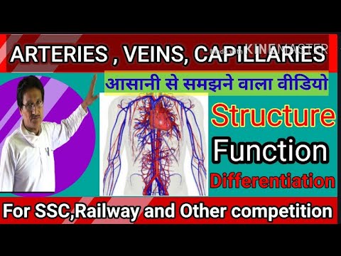 BLOOD VESSELS / Arteries/veins/capillaries/ CBSE/BSEB /Class 10/by Anil ...