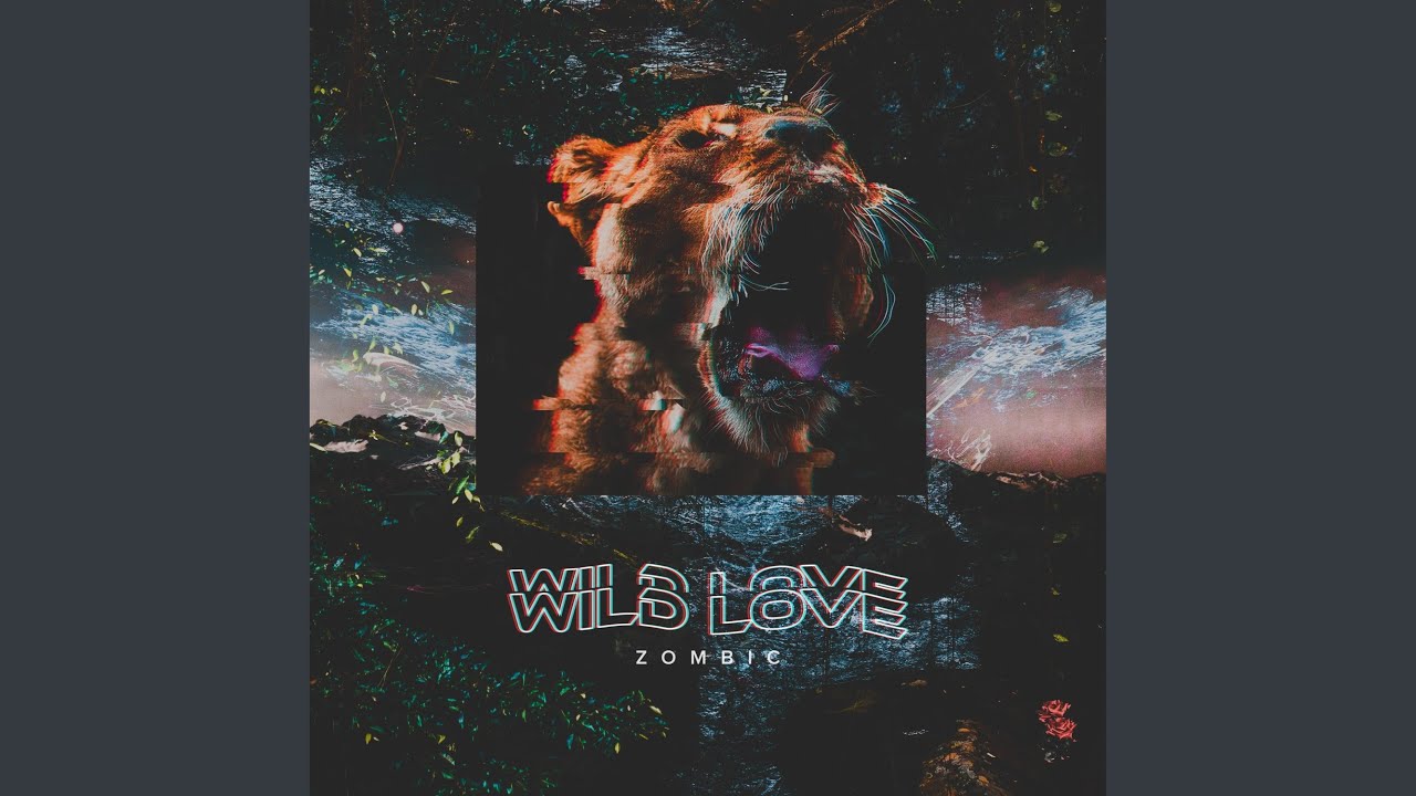 Wild Love - YouTube