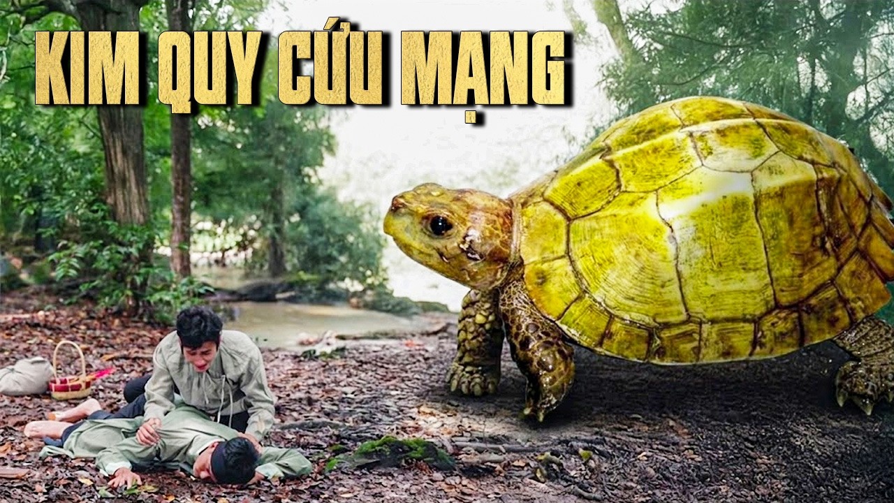 CỔ TÍCH VIỆT NAM 2026 - KIM QUY CỨU MẠNG | CỔ TÍCH VIỆT NAM MỚI 2026 ...