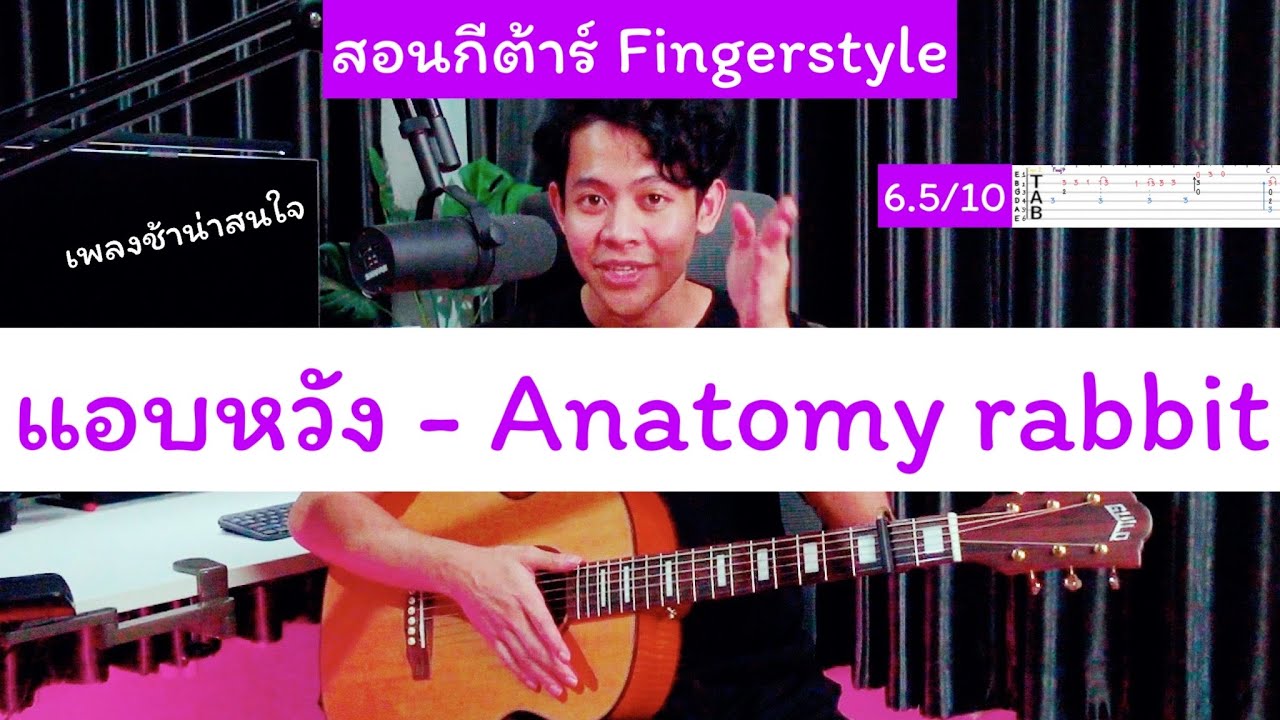 สอนกีต้าร์ แอบหวัง - ANATOMY RABBIT [ Fingerstyle + Tab ] เพลงช้าที่น่า ...