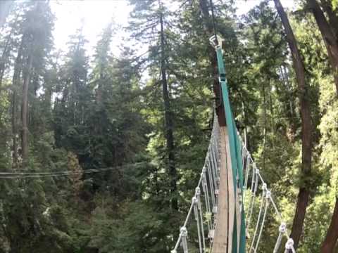 Zipline Adventure Through the Redwoods - YouTube