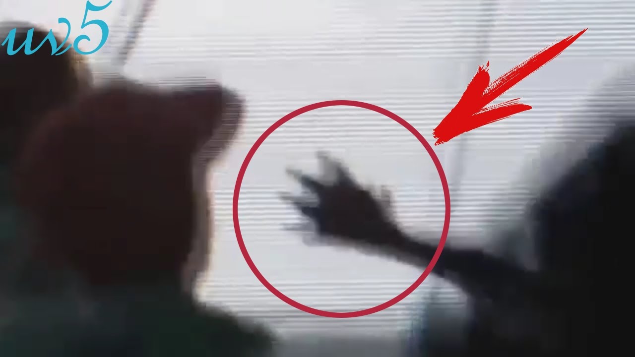 5 Strange Creatures Caught On Camera - YouTube