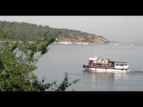 Ali Banu - Ne Sevdiğin Belli Ne de Sevmediğin