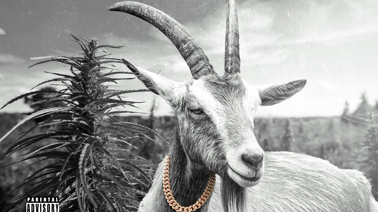 1804 Napoleon - Damn Homie - YouTube