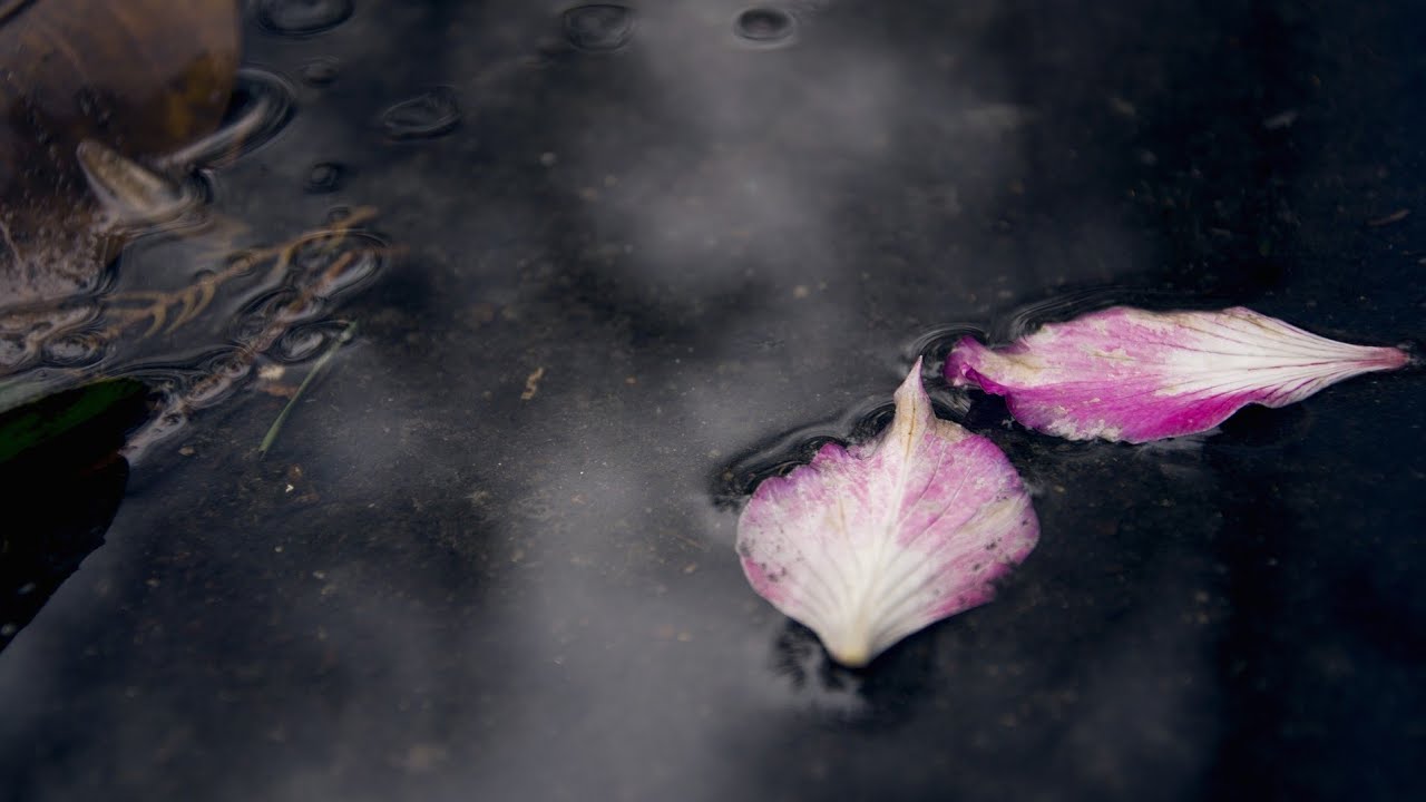 Catch Me Before I Fall - YouTube