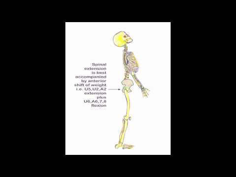 Spinal Mechanics.m4v - YouTube