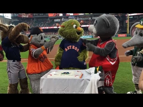Orbit celebrates birthday with friends