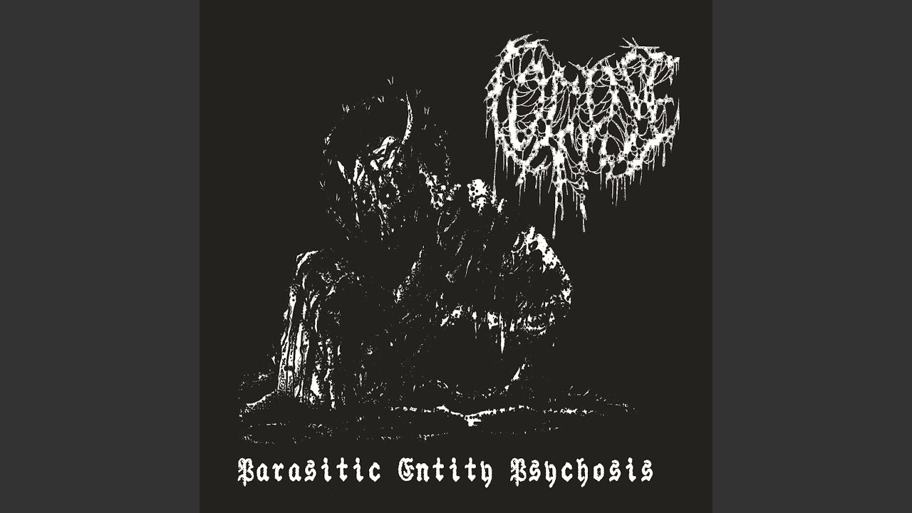 Parasitic Entity Psychosis - YouTube