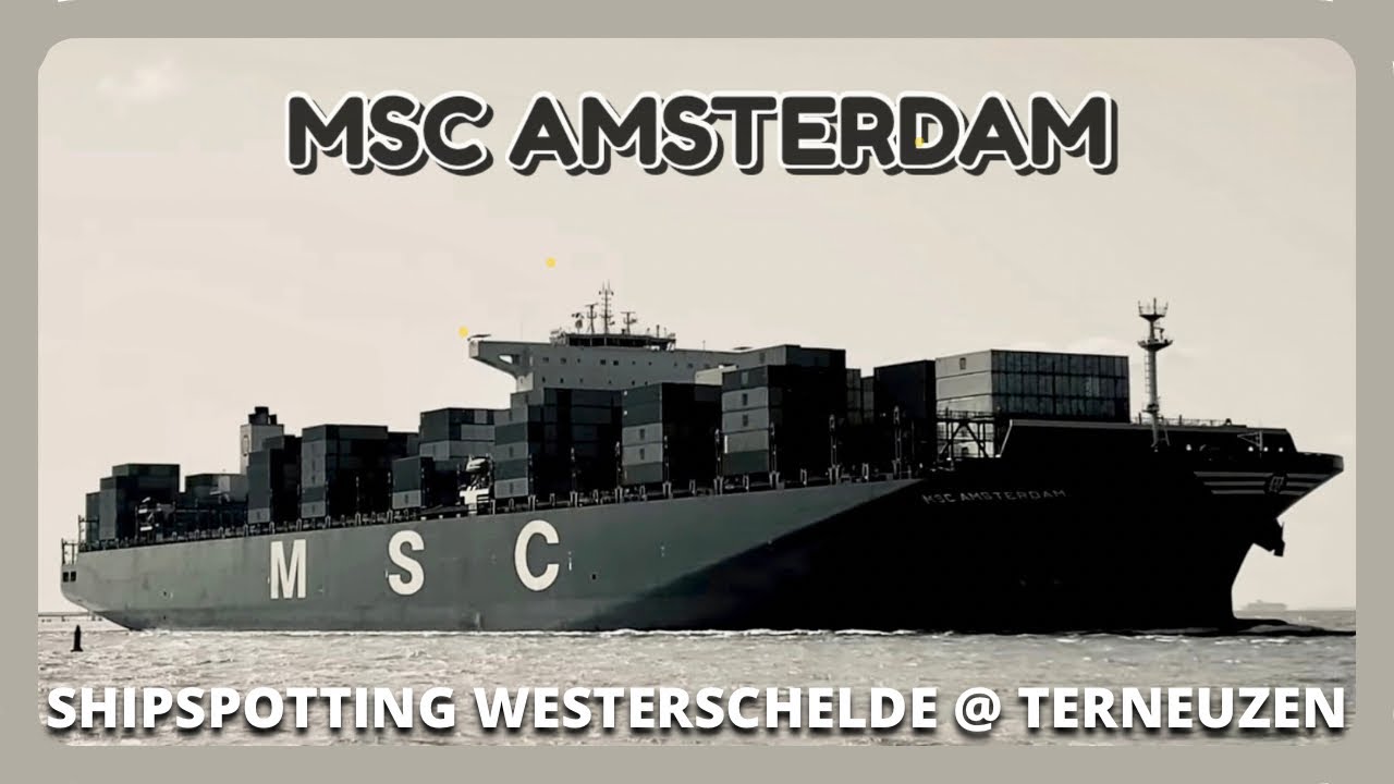 Container Ship MSC AMSTERDAM on the Western Scheldt @ Terneuzen - YouTube