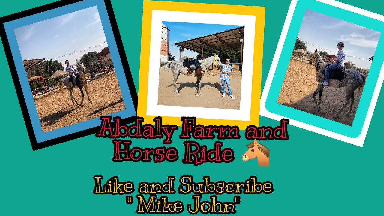 Abdaly Farm and Horse Ride KuwaitTourVlog🇰🇼 - YouTube