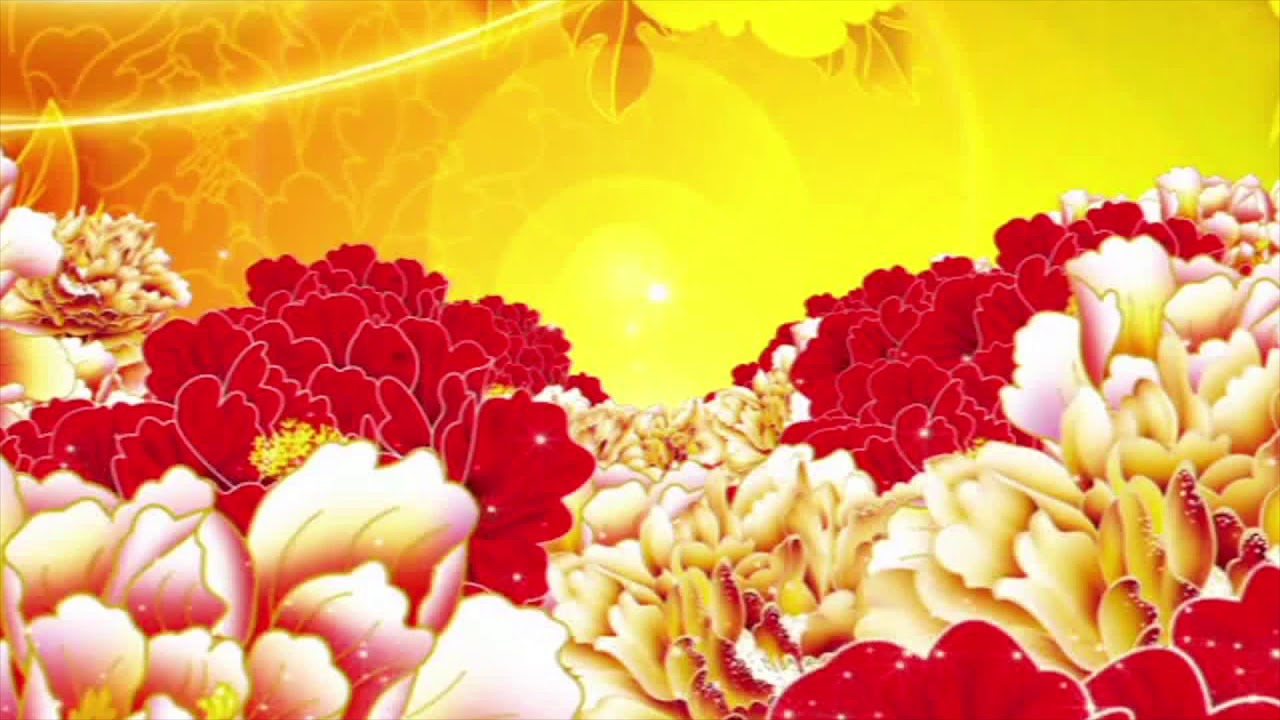 Animation, rose blossom, Chinese style photography&video background ...