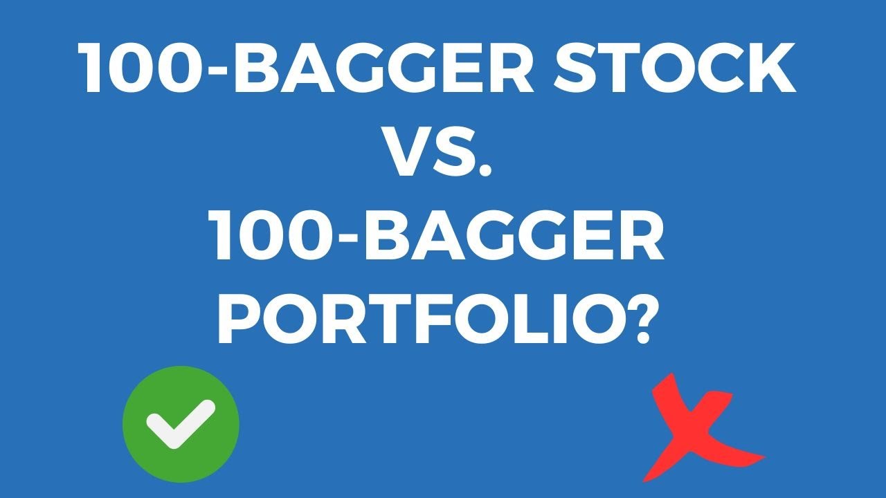 100-Bagger Stock vs. 100-Bagger Portfolio - YouTube