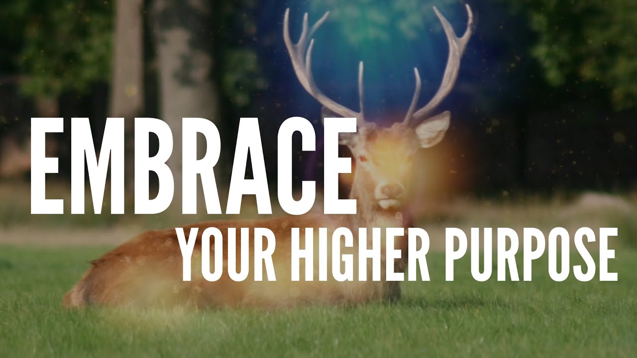 Embrace Your Higher Purpose Guided Visualisation - YouTube