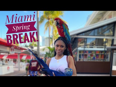 Miami Spring Break 2021! #Miami #springbreak #springbreak2021 #miamispringbreak