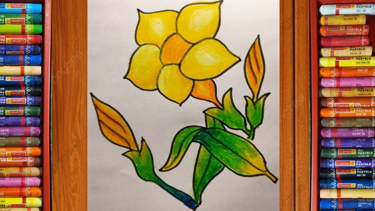 How to draw flower || Easy flower drawing stap by stap #drawing - YouTube