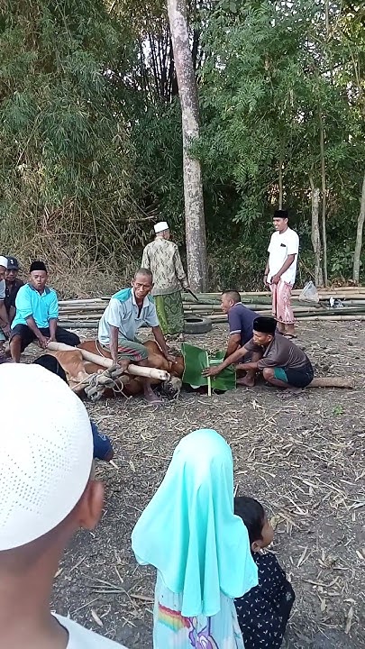 Kurban Pada Idul Adha 1444 H - YouTube