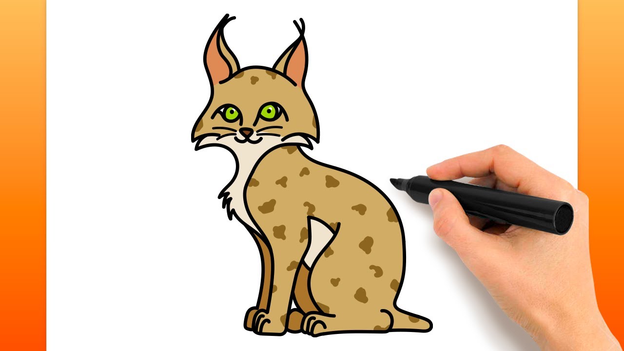 Comment Dessiner Un Lynx (Tutoriel De Dessin Facile) - YouTube