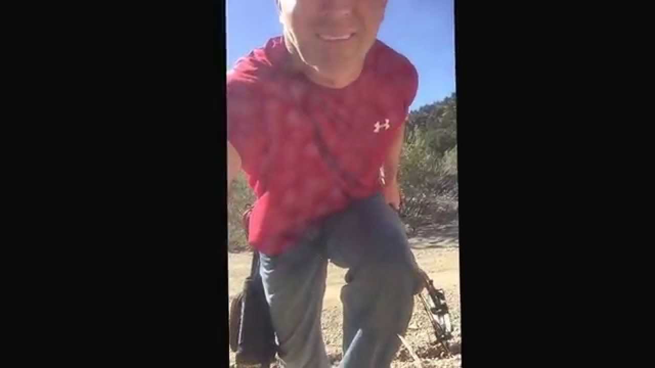 Hoyt Nitrum Turbo @ 120 yards - YouTube