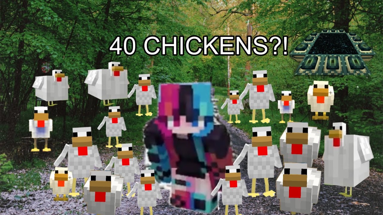 Bringing 40 chickens into the End!! 40 subscribers special! - YouTube