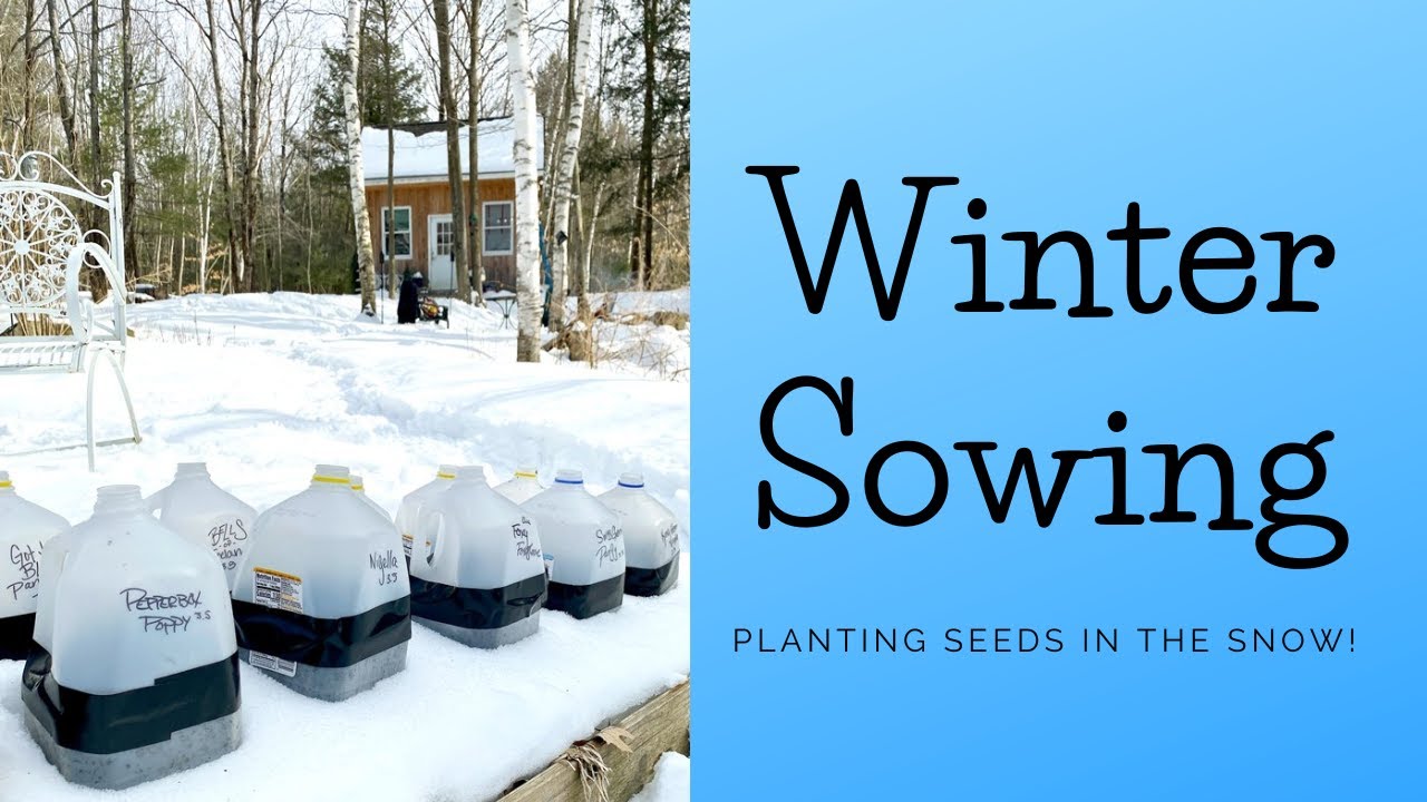 A Guide to Winter Sowing // Garden Tutorials - YouTube