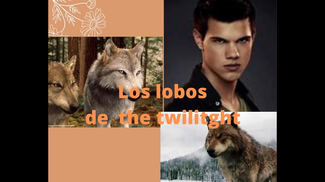 Los lobos the twilight - natural imagine dragons - YouTube