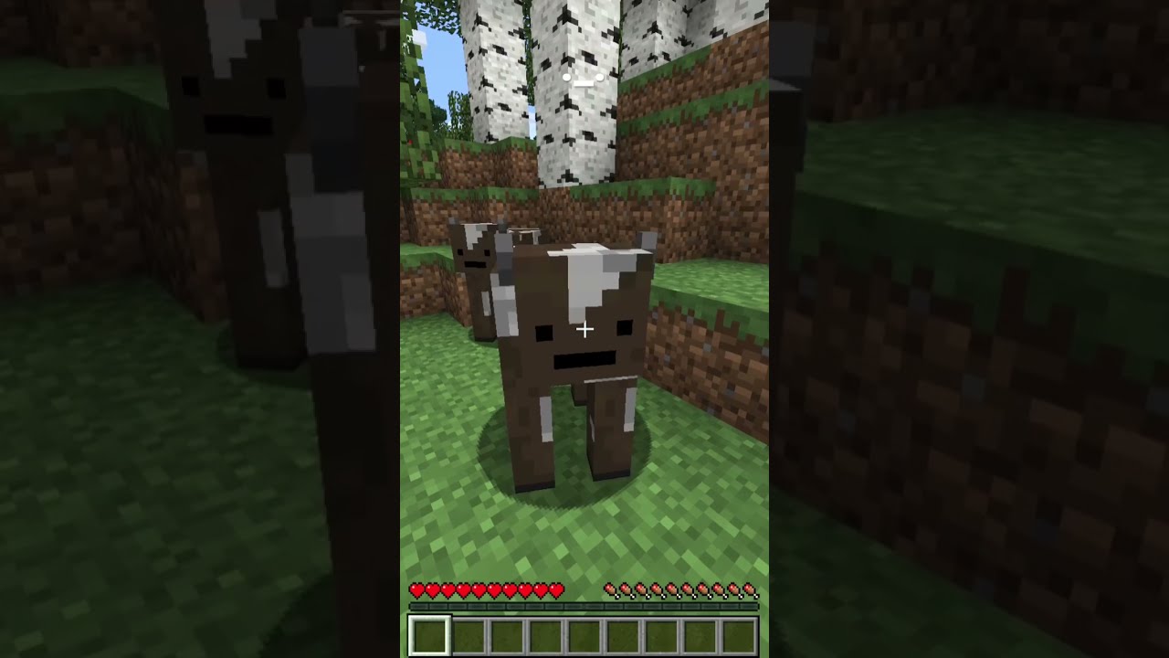 Cursed minecraft cows be like: - YouTube