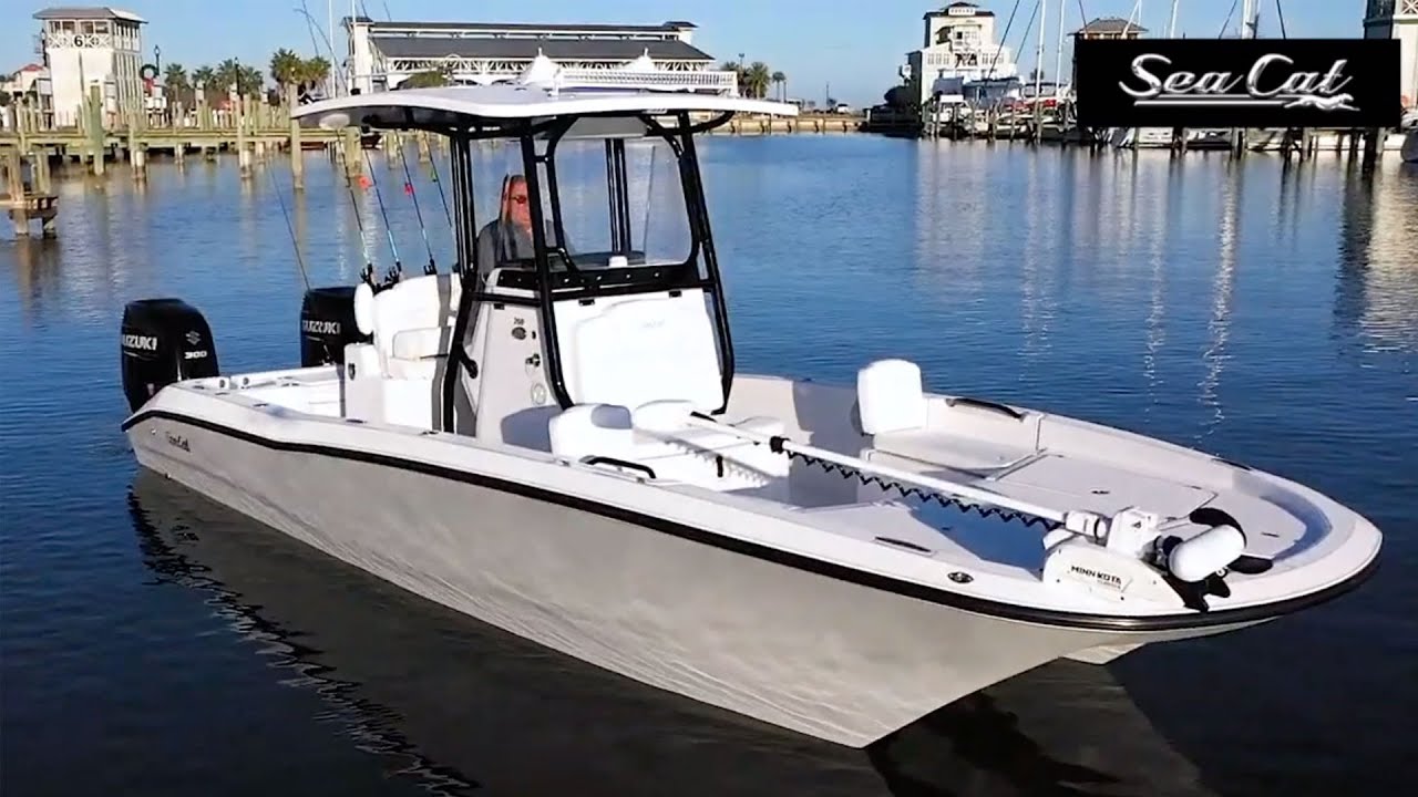 Sea Cat 260 Hybrid - YouTube
