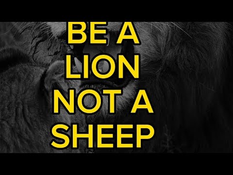 BE A LION 🦁 NOT A SHEEP 🐏. - YouTube