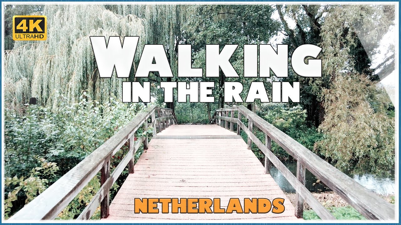 Walking in the Rain | Rainy day in village - Netherlands | ASMR Rain ...
