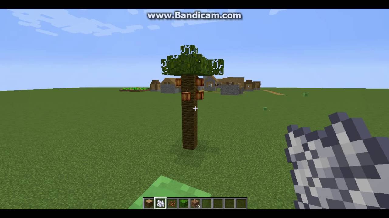 Cách trồng cây ca cao trong Minecraft - YouTube