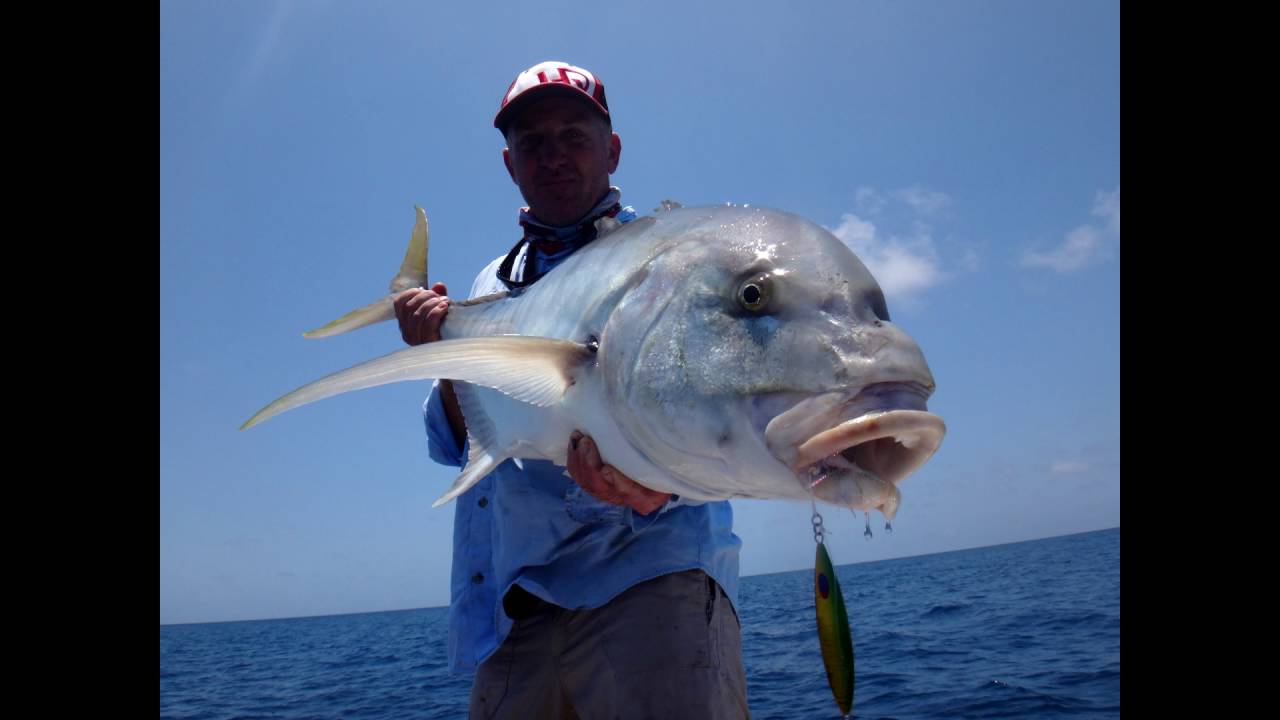 Massive Golden Trevally, Central Queensland, Australia - YouTube
