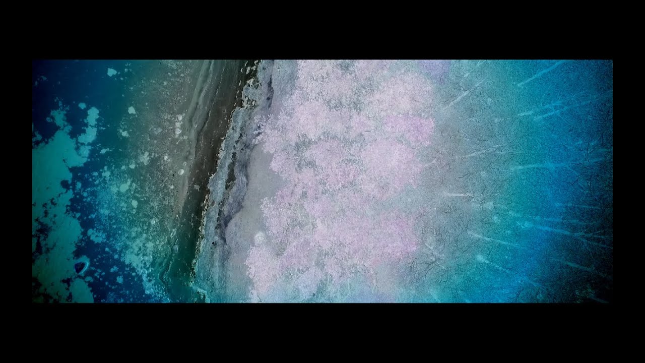 Disarray Son - Out of... - YouTube