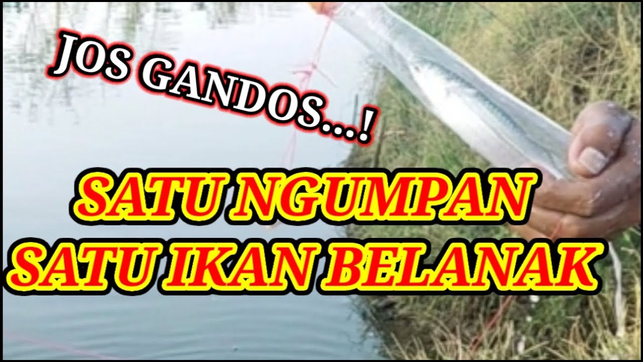 Cara Baru teknik Botol Melayang dalam air || Mancing Belanak - YouTube