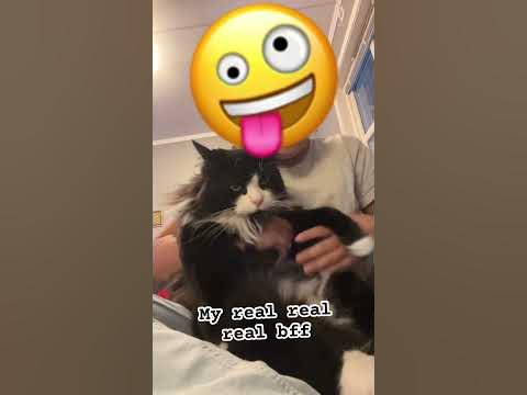 Shes tired after sleeping all Day - YouTube