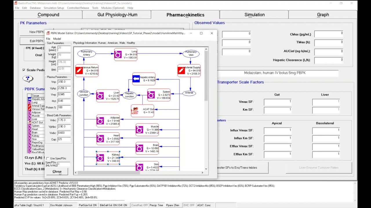 GastroPlus® Tutorial Phase 2 Video 2: How to set up metabolic clearance ...