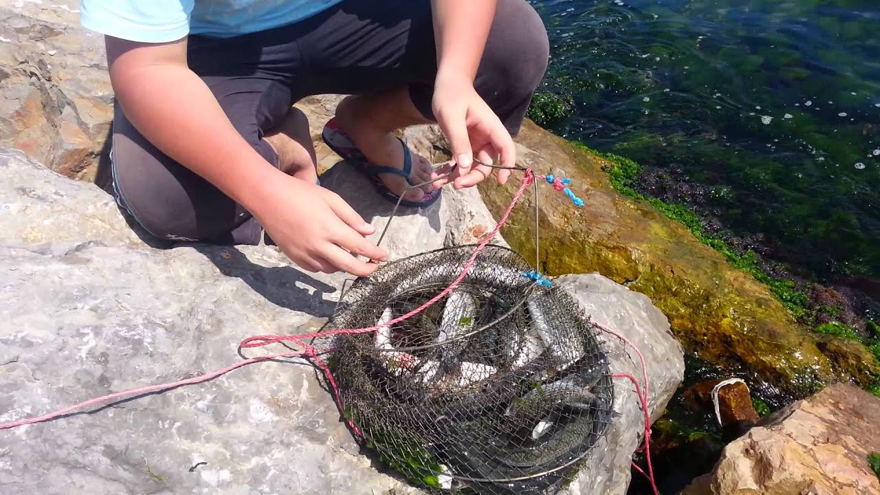 kefal avı - YouTube