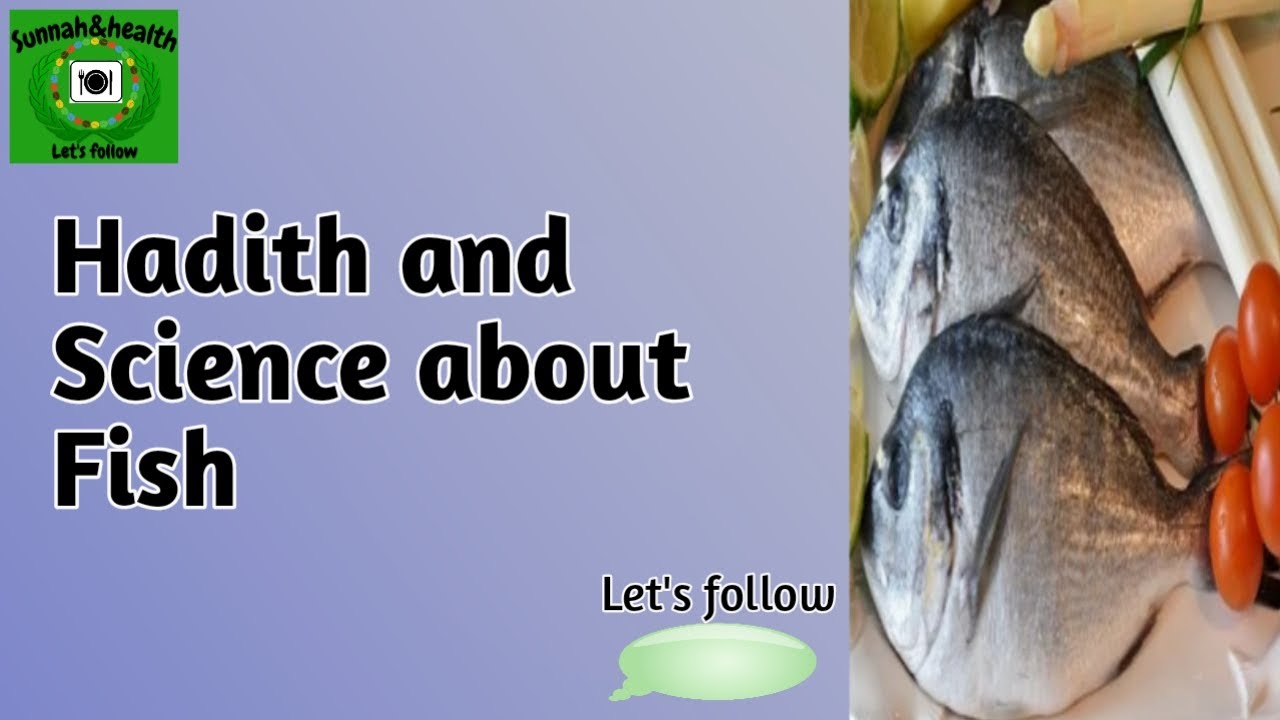 Hadith and Science about Fish - YouTube