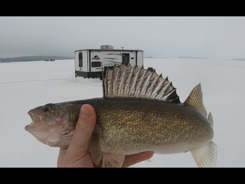 Ice Fishing on Cass Lake - Catching Walleye and Perch in a Wheelhouse ...