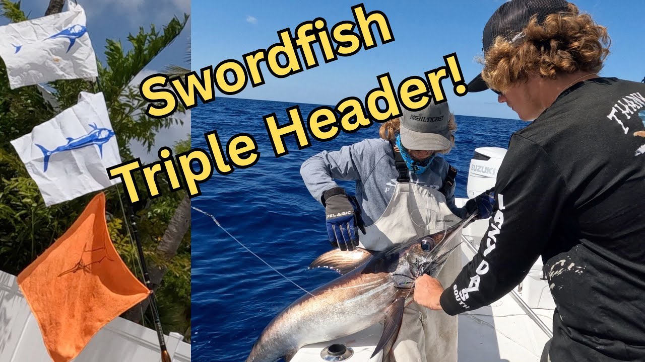 Daytime Swordfish Triple Header - YouTube