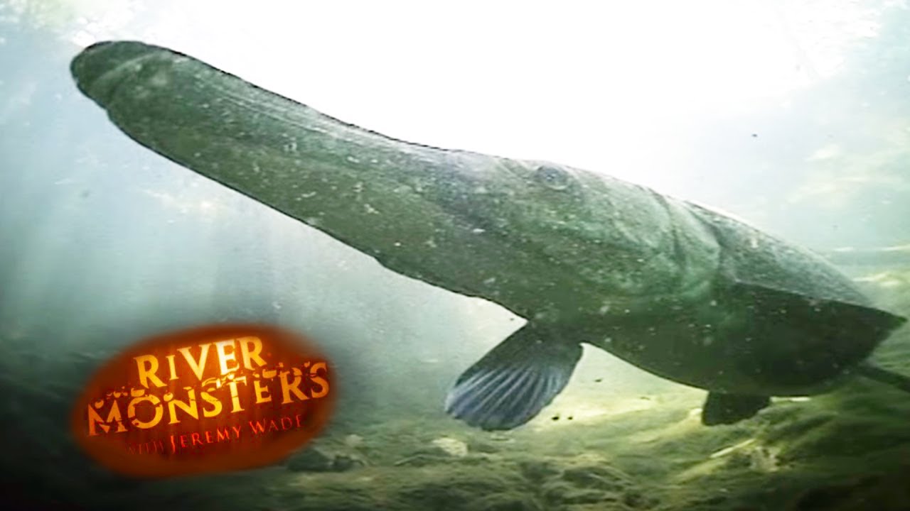 River Monsters Alaskan Horror