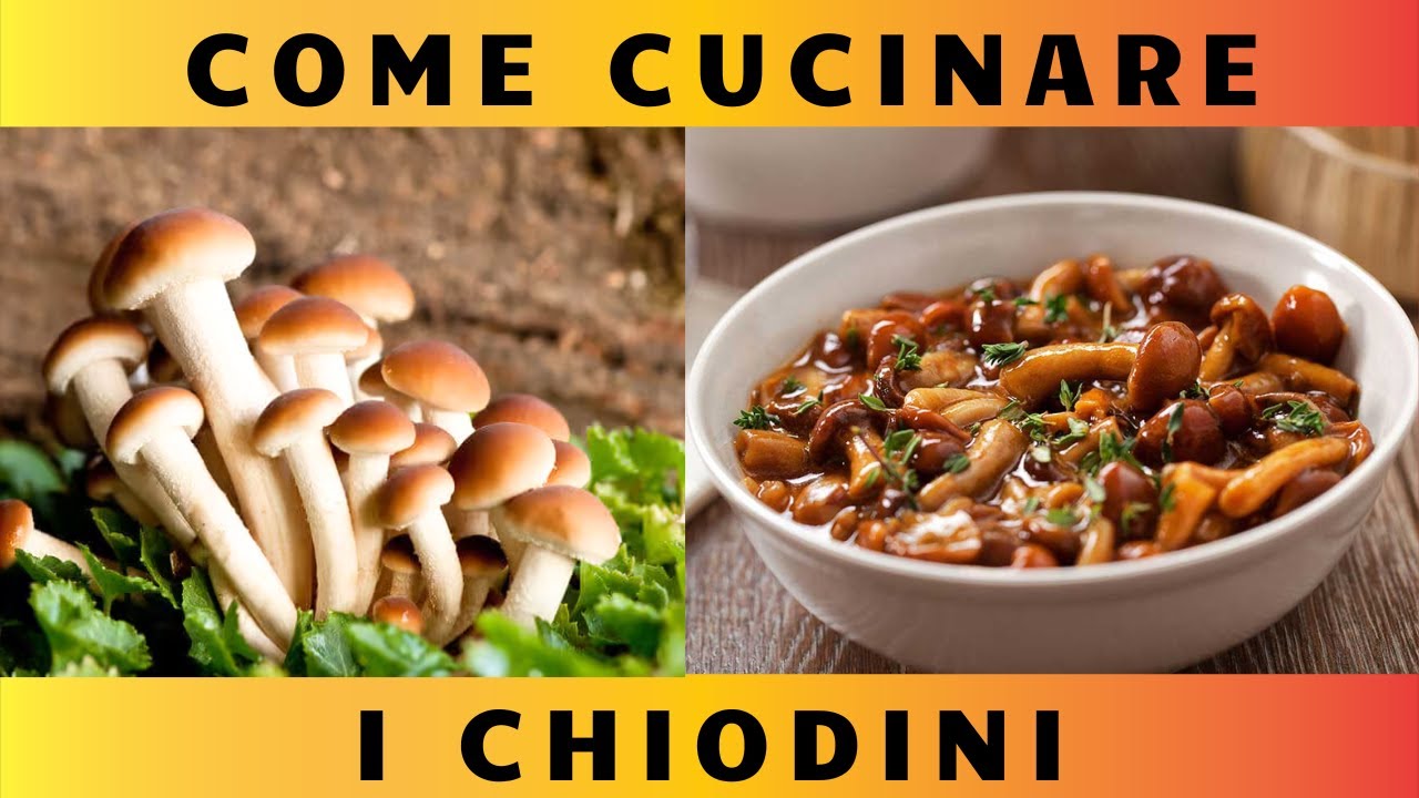 RICETTA FUNGHI CHIODINI ricetta sicura - YouTube