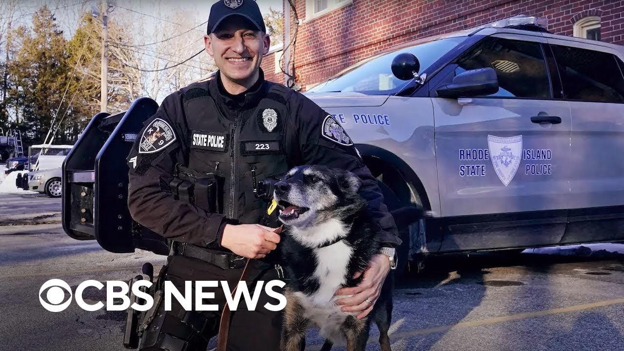 Remembering Ruby, a K9 trooper who made a life-saving rescue - YouTube