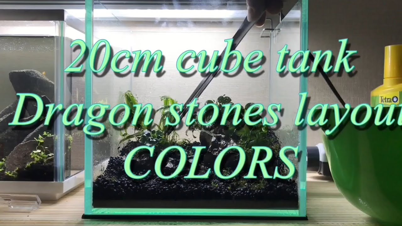 20cm cube tank Dragon stones layout COLORS - YouTube