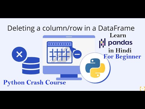 How to Delete rows and columns in Pandas |Python Tutorial in Hindi | Tutorial Camp - YouTube