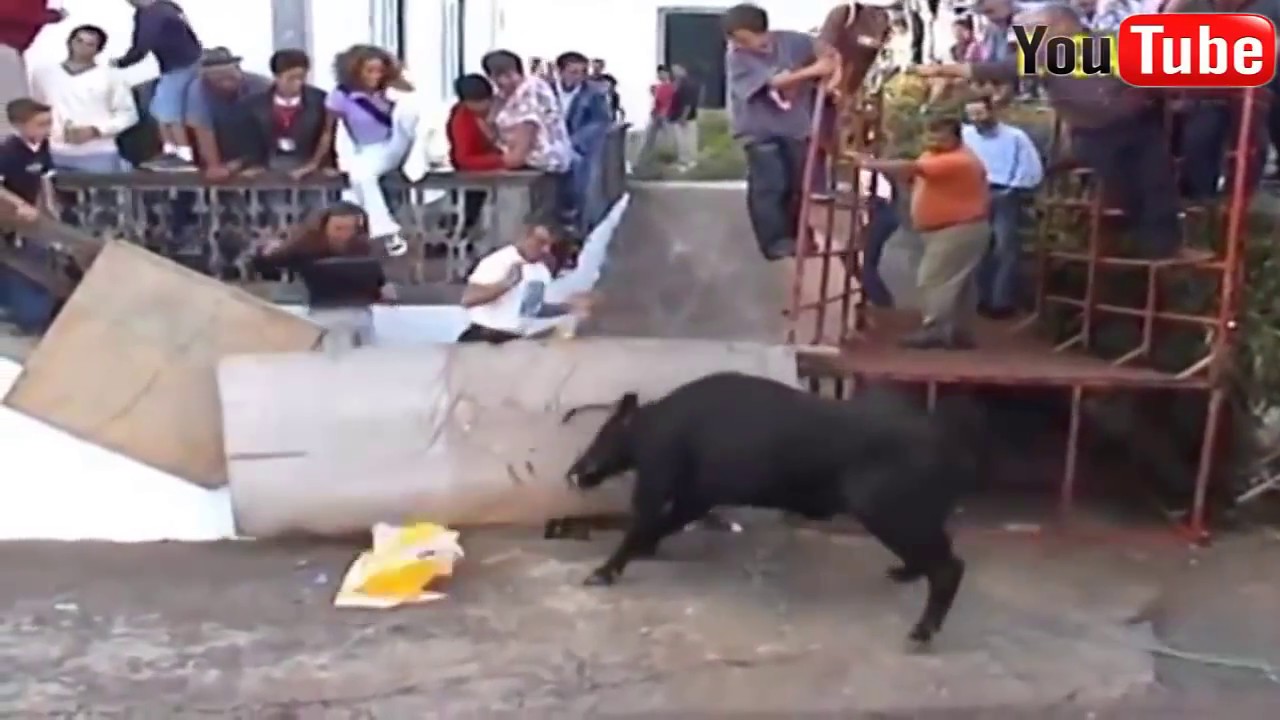 Bull Fighting Fails Compilation - YouTube