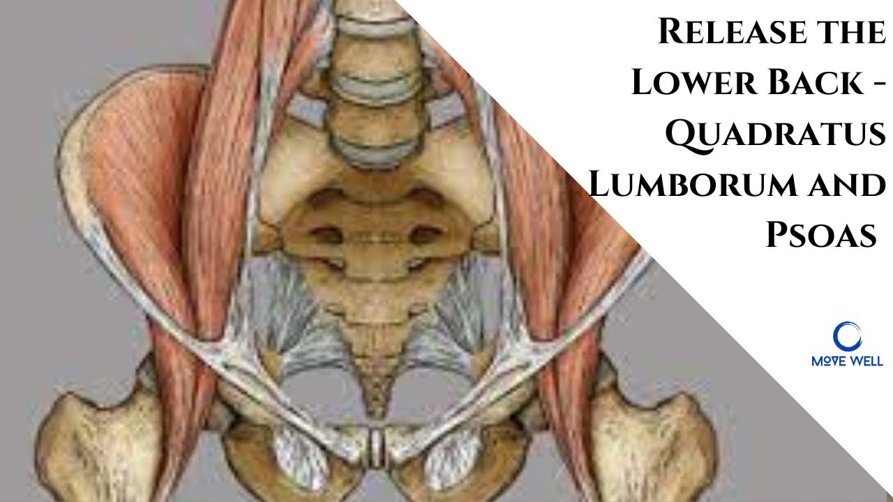 Release the Lower Back & Hip Flexor (Psoas & Quadratus Lumborum) - YouTube