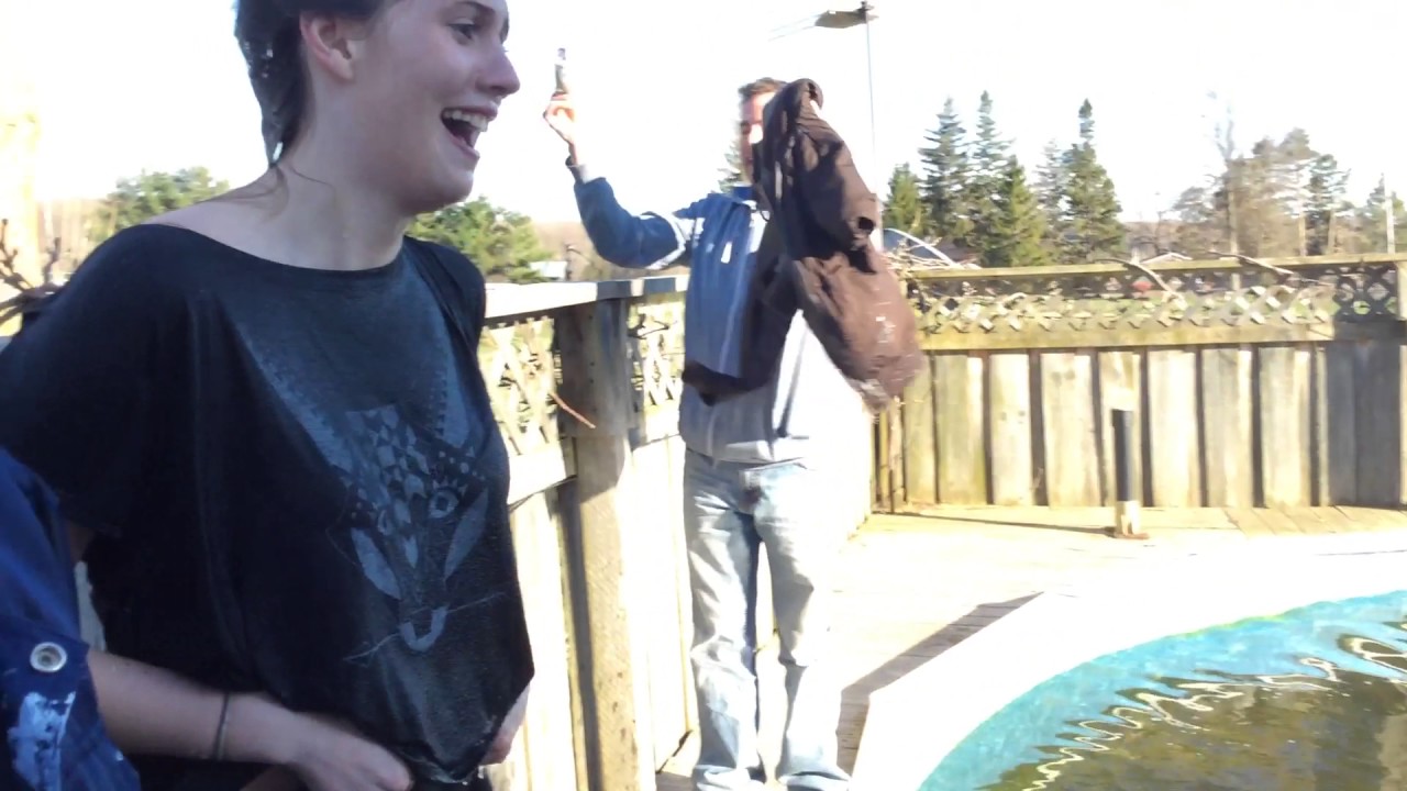 Pushed in the pool - YouTube