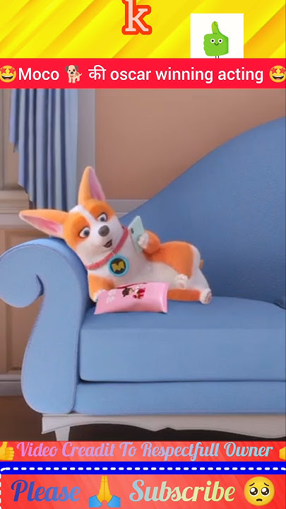 Moco 🐕 की oscar winning acting🤩🤣|| Funny Video || #shorts #moco #ytshorts #trending #viral - YouTube